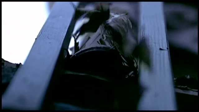 Somersault: DVD oder Blu-ray leihen - VIDEOBUSTER.de